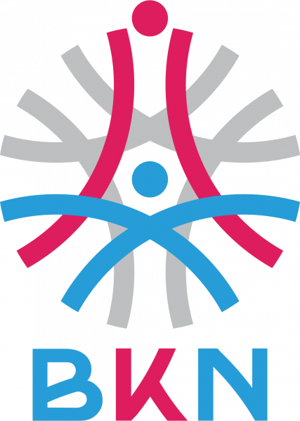 BKN Dorong Kesejahteraan Pegawai ASN Daerah Melalui Sistem Kelas ...